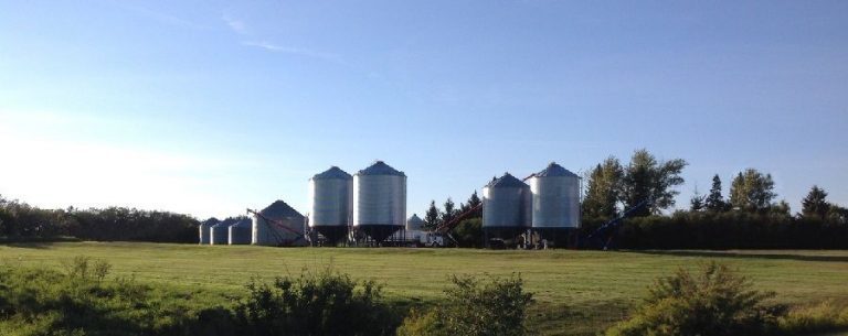 New OSHA Grain Worker Safety Initiative - Blog