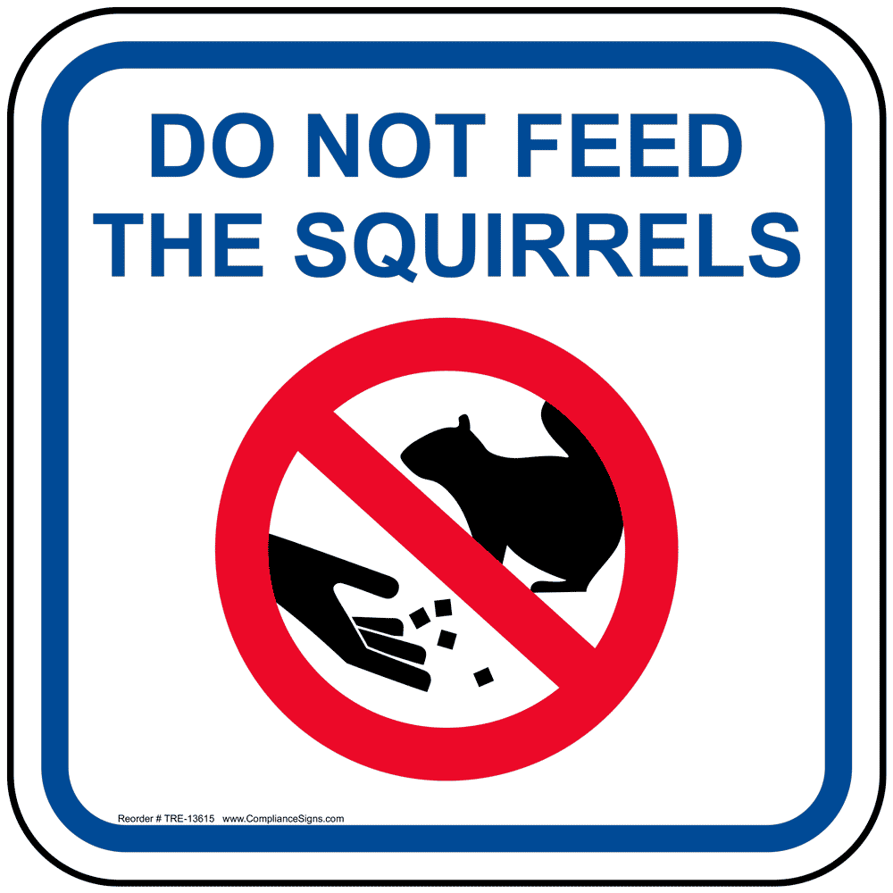 Do Not Feed The Squirrels